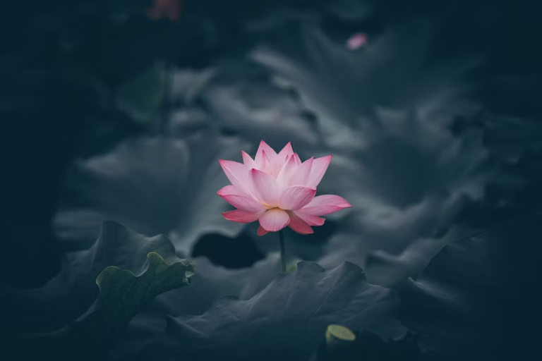 The Benefits of the Lotus Sexual Position - DOWN Dating Blog